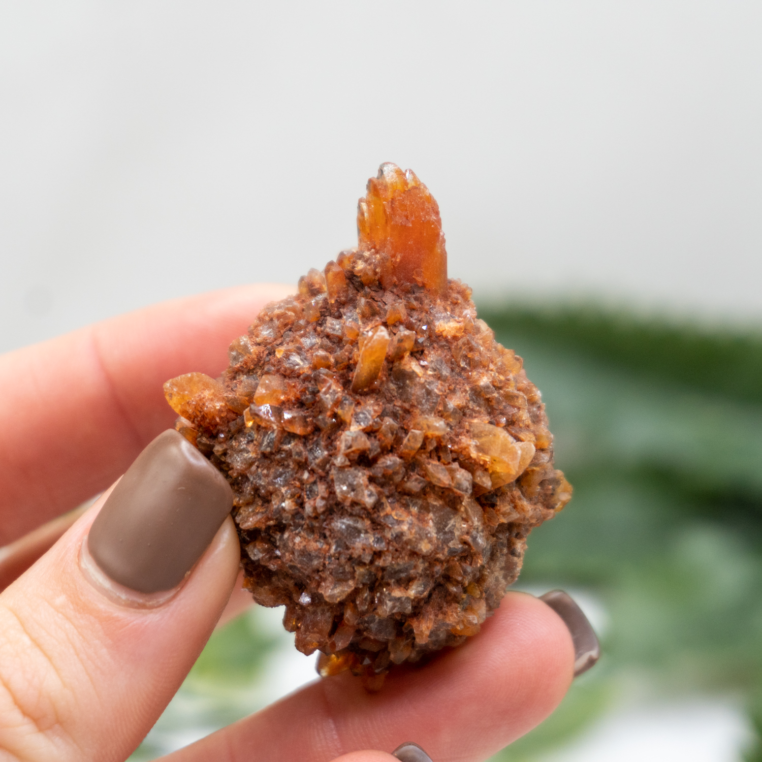 Creedite #6 - The Crystal Council