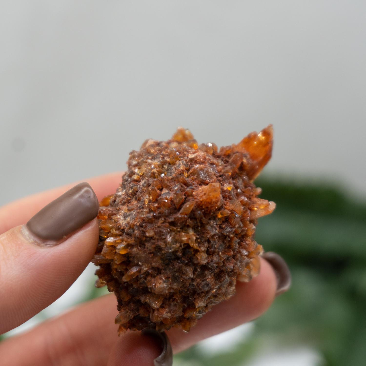 Creedite #6 - The Crystal Council