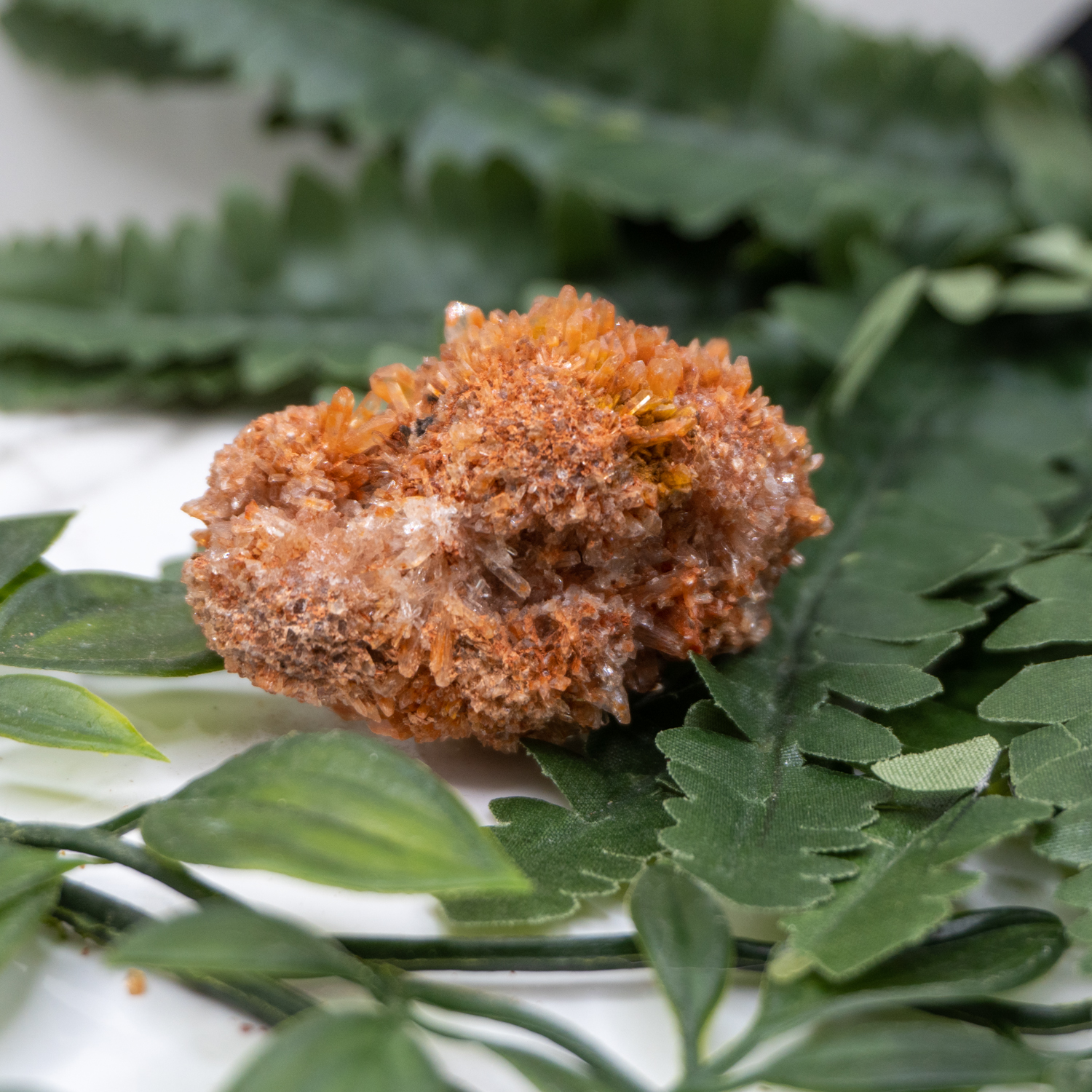 Creedite #4 - The Crystal Council