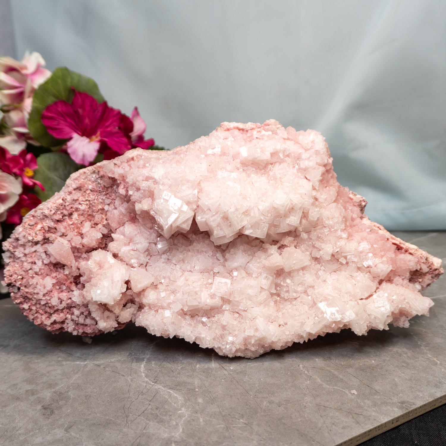 Pink Halite XL #2 - The Crystal Council