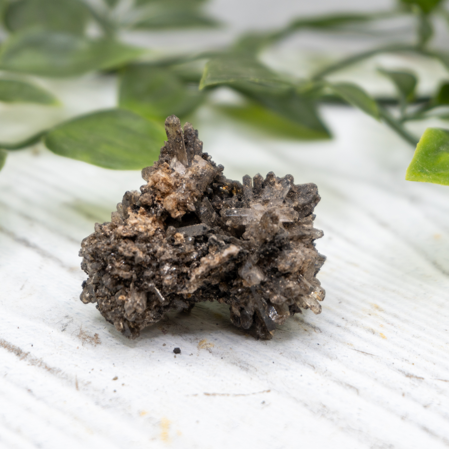 Creedite #10 - The Crystal Council