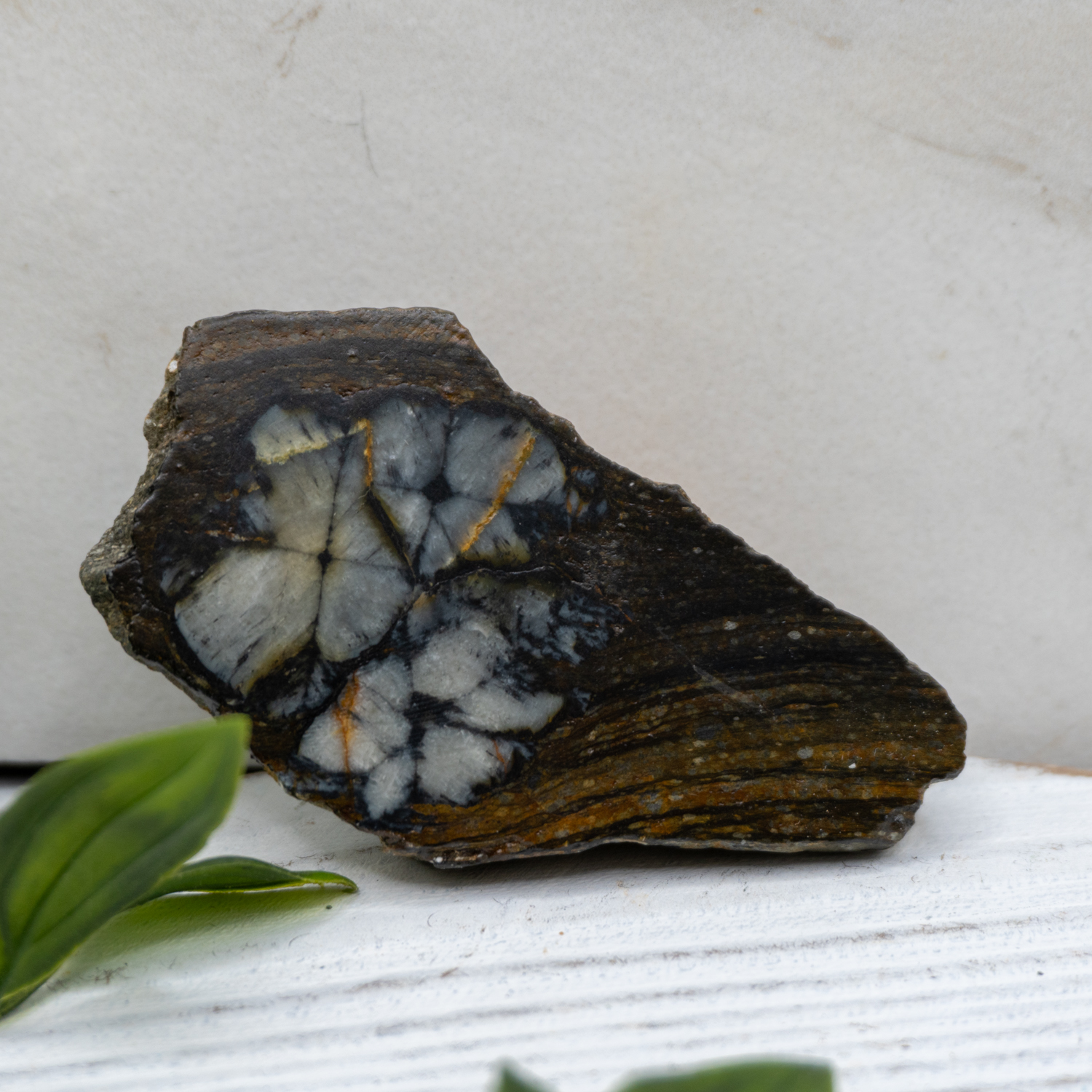 Chiastolite Raw #1 - The Crystal Council