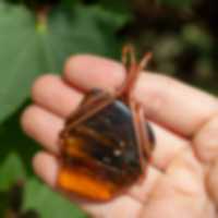 Large Amber Wrap - The Crystal Council