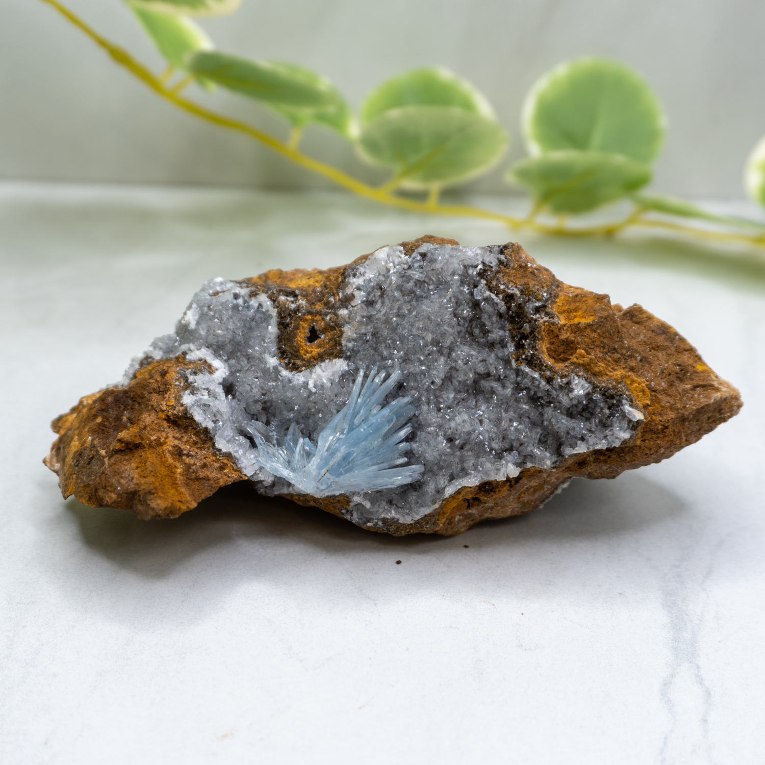 Blue Barite #2 - The Crystal Council