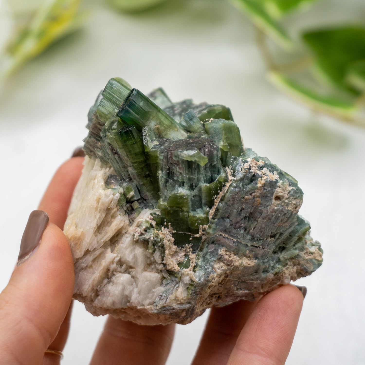 Watermelon Tourmaline #10 - The Crystal Council
