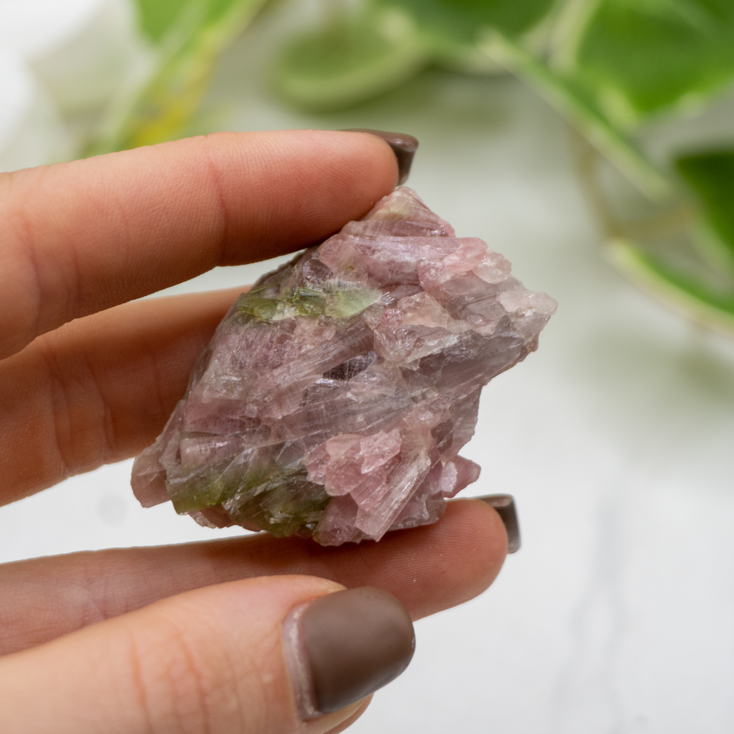Watermelon Tourmaline #7 - The Crystal Council