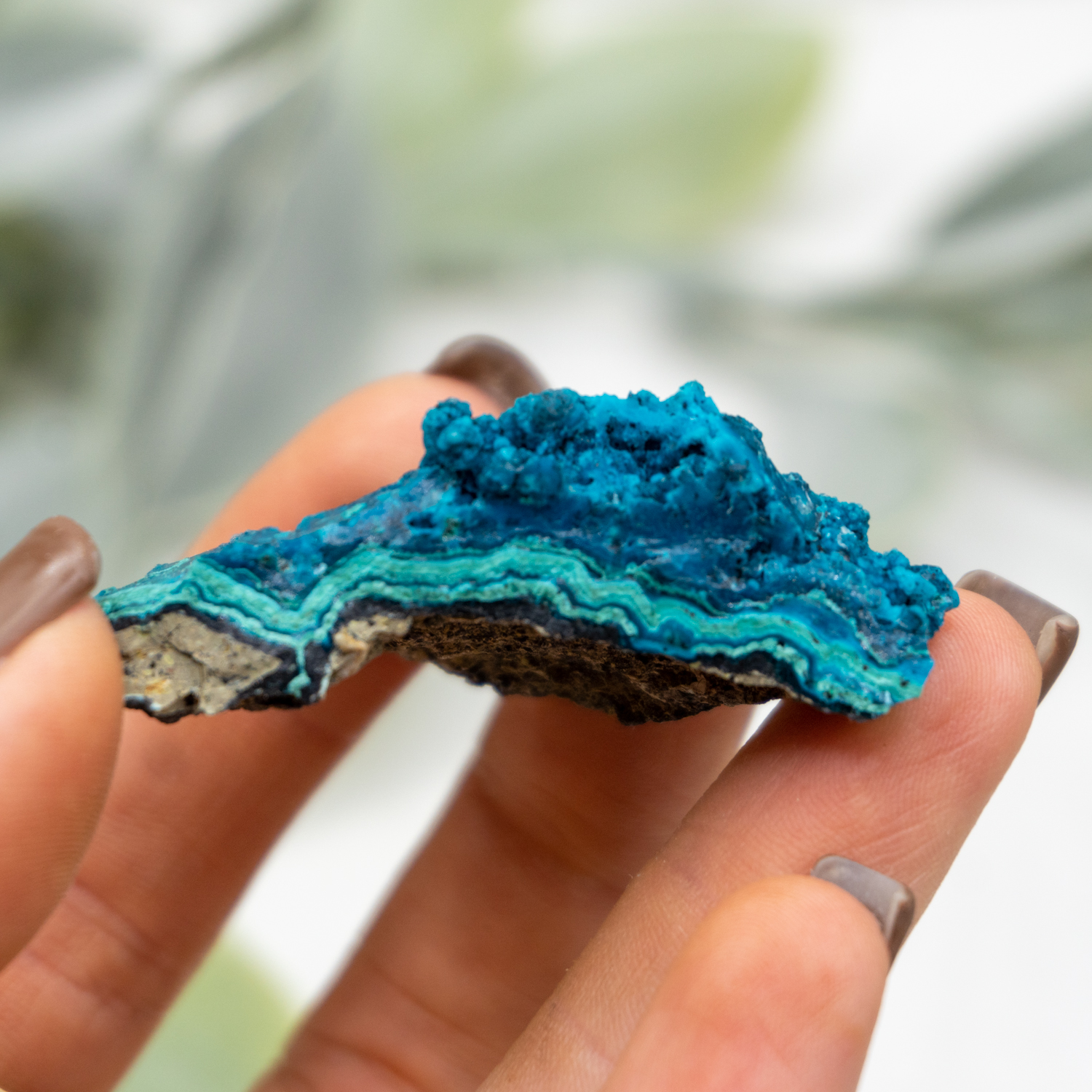 Raw Chrysocolla with Malachite #8 - The Crystal Council