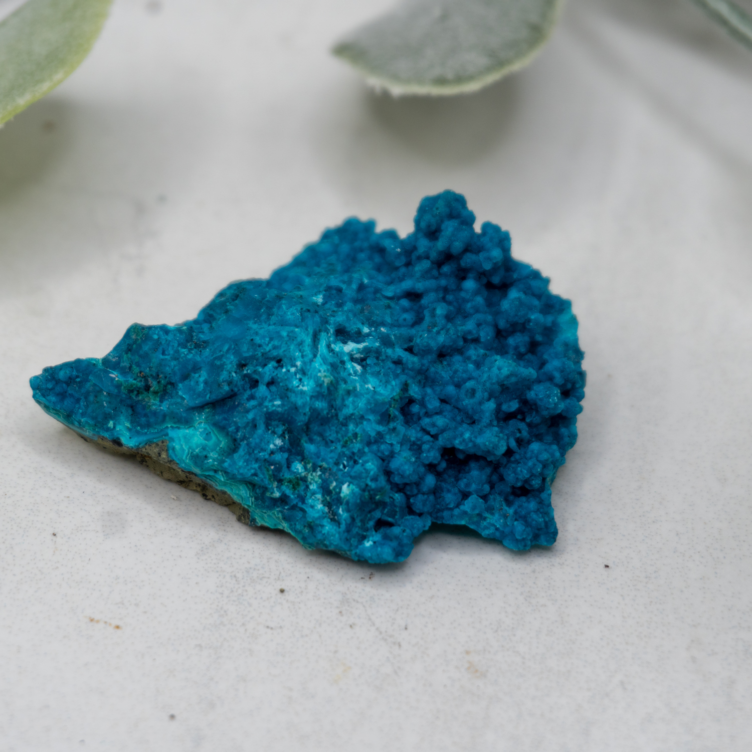 Raw Chrysocolla with Malachite #2 - The Crystal Council