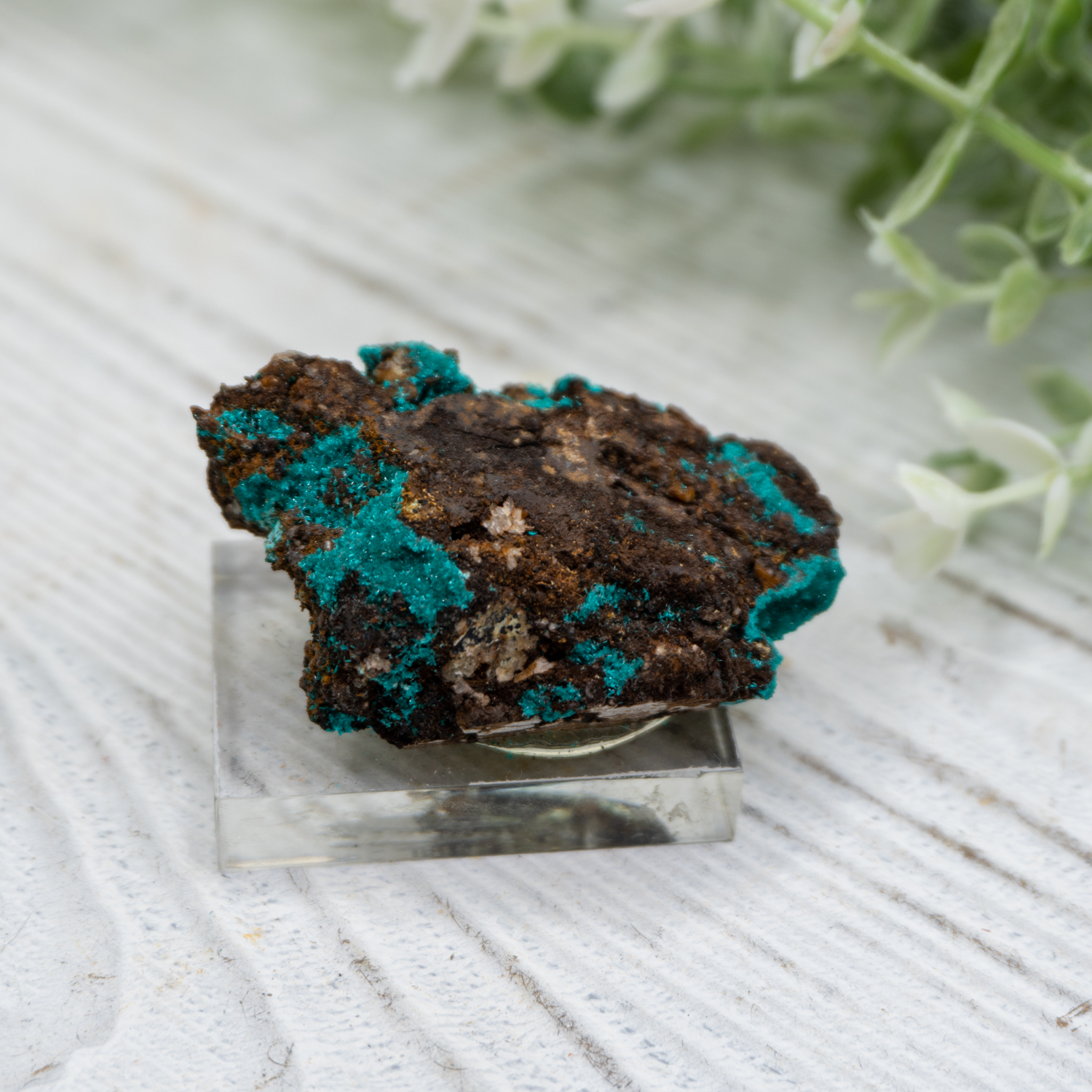 Brochantite #1 - The Crystal Council