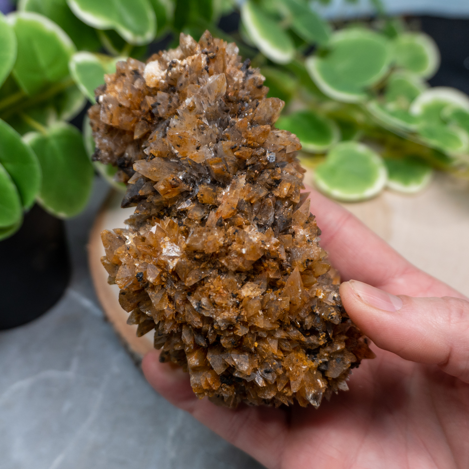 Large Creedite #2 - The Crystal Council