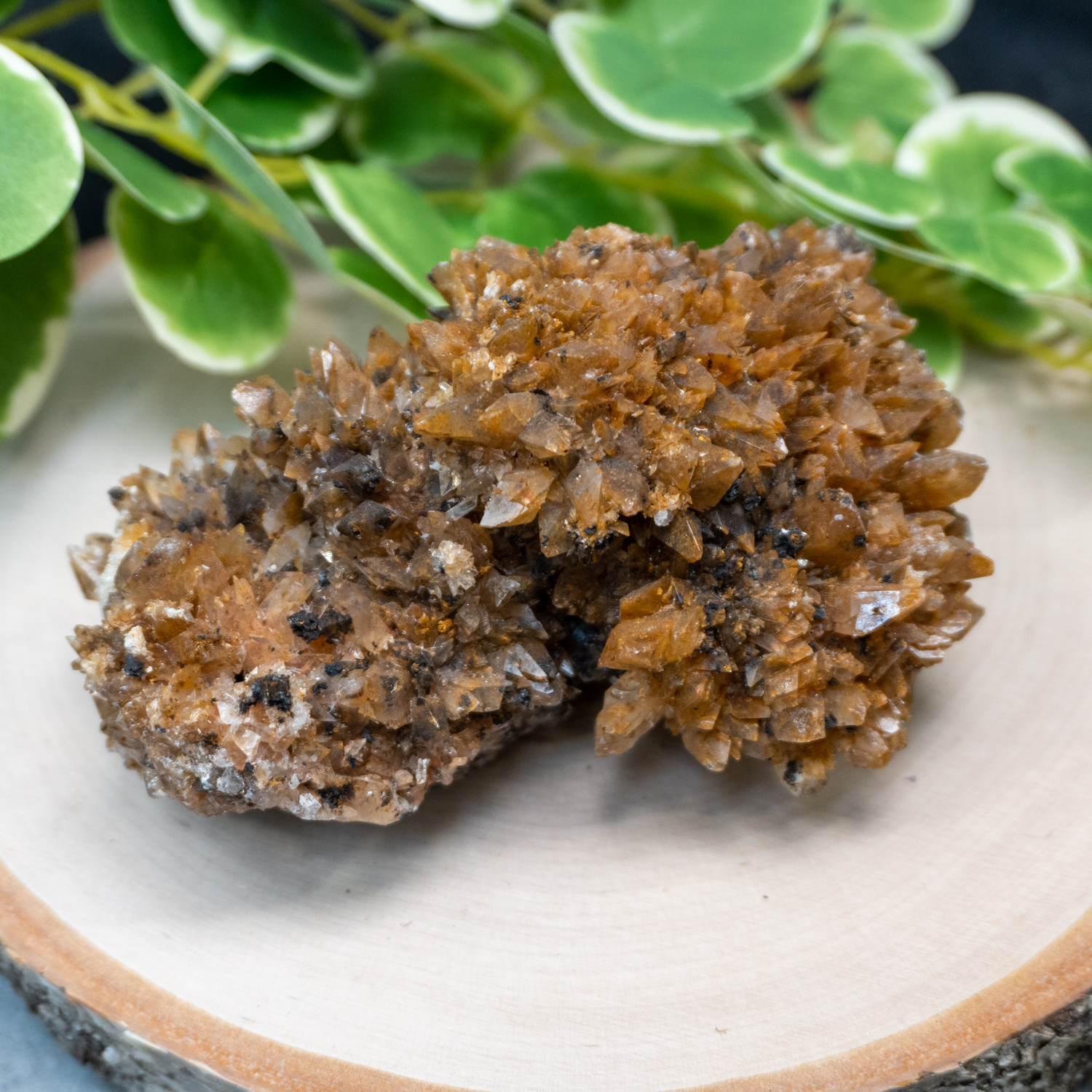 Large Creedite #2 - The Crystal Council