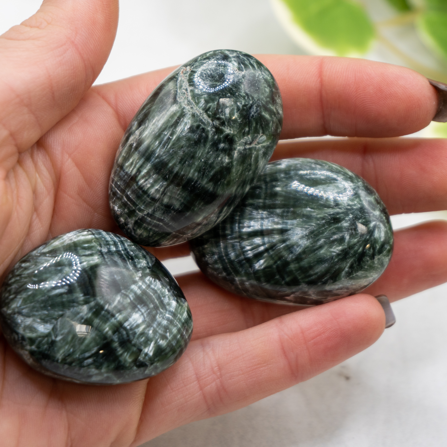 Seraphinite Palmstone - The Crystal Council