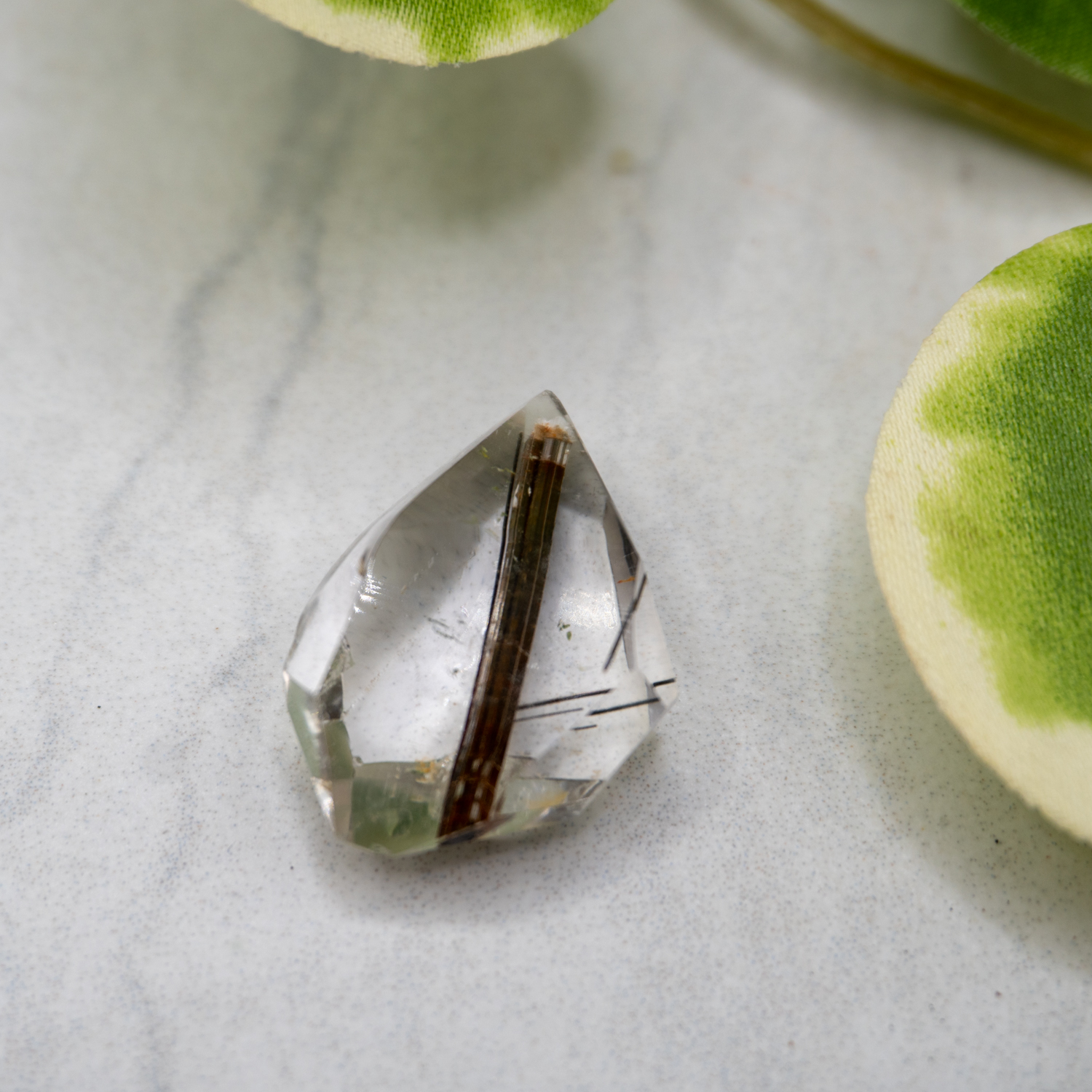 Rutile in Quartz #1 - The Crystal Council