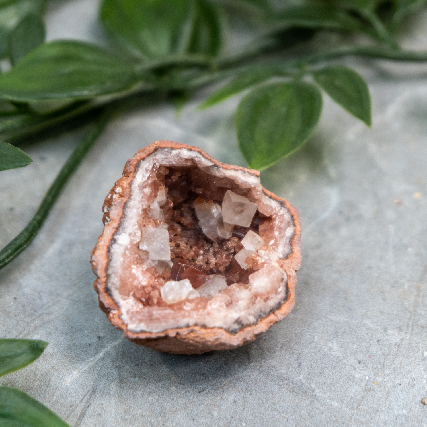 Pink Amethyst #6 - The Crystal Council