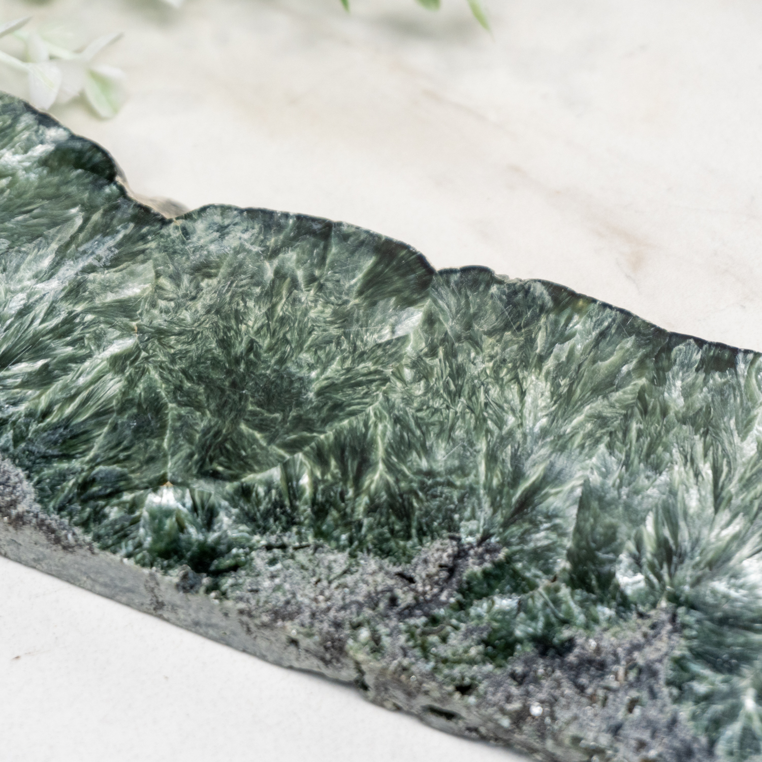 Seraphinite Slab XL #1 - The Crystal Council
