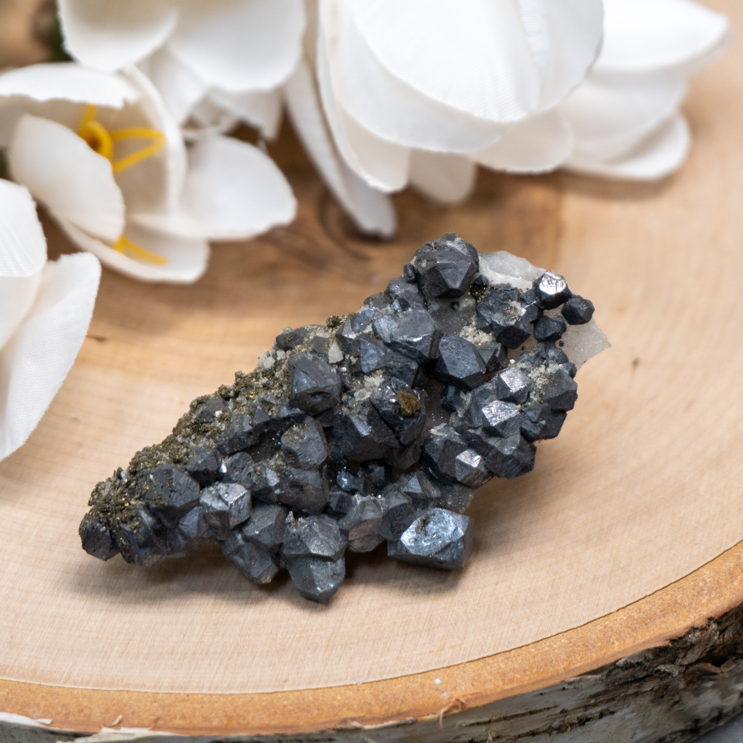 Galena on Quartz #1 - The Crystal Council