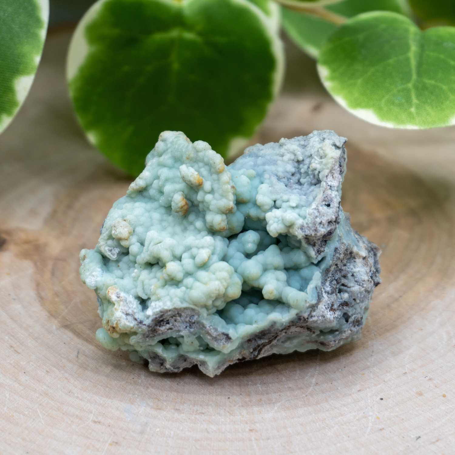 Green Gibbsite #2 - The Crystal Council