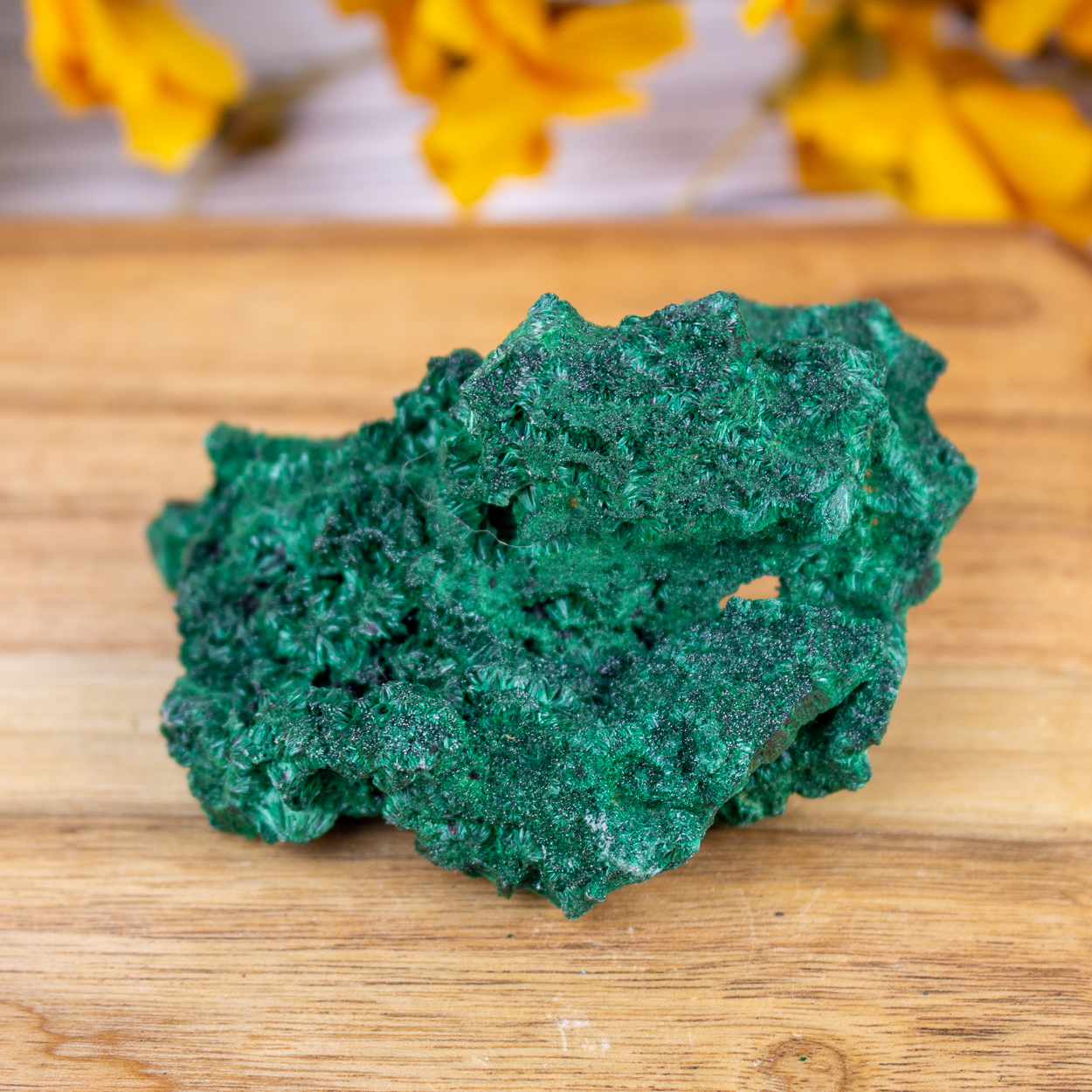 Crystallized Malachite #3 - The Crystal Council