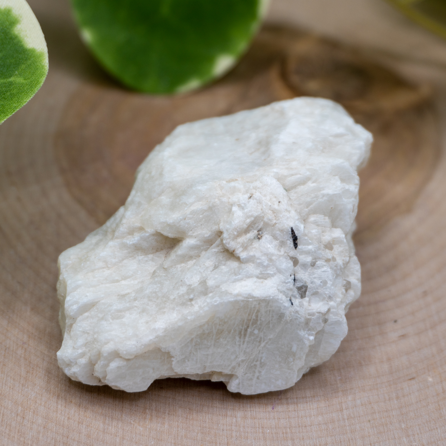 Moonstone Raw #3 - The Crystal Council