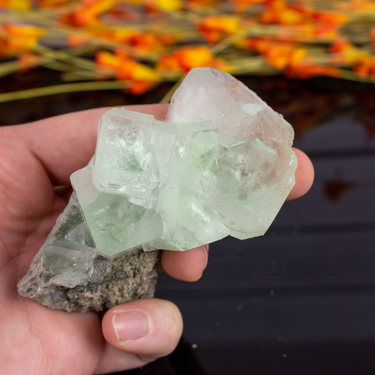 Green Fluorite #6 - The Crystal Council