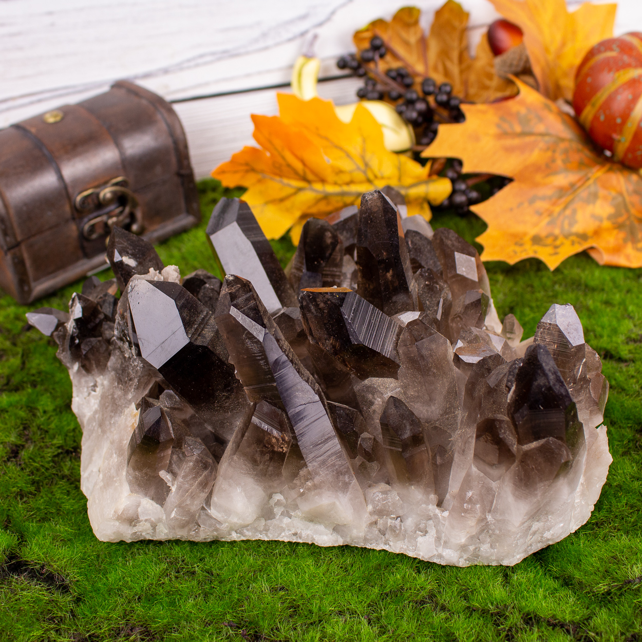 Smoky Quartz Family Cluster - The Crystal Council