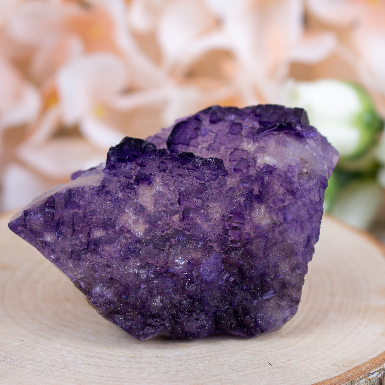 Purple Fluorite #11 - The Crystal Council
