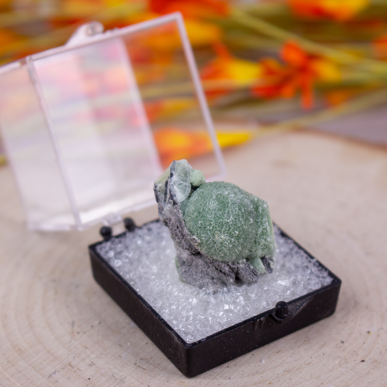 Botryoidal Wavelite Fine Specimen - The Crystal Council