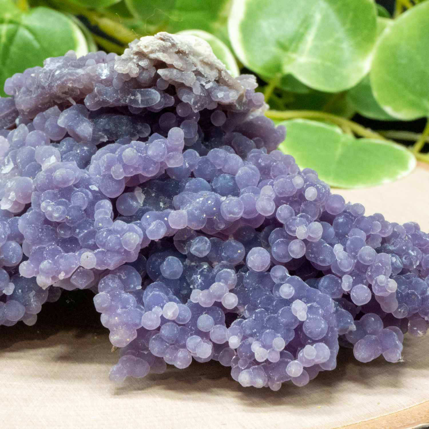 Grape Agate XL #6 - The Crystal Council