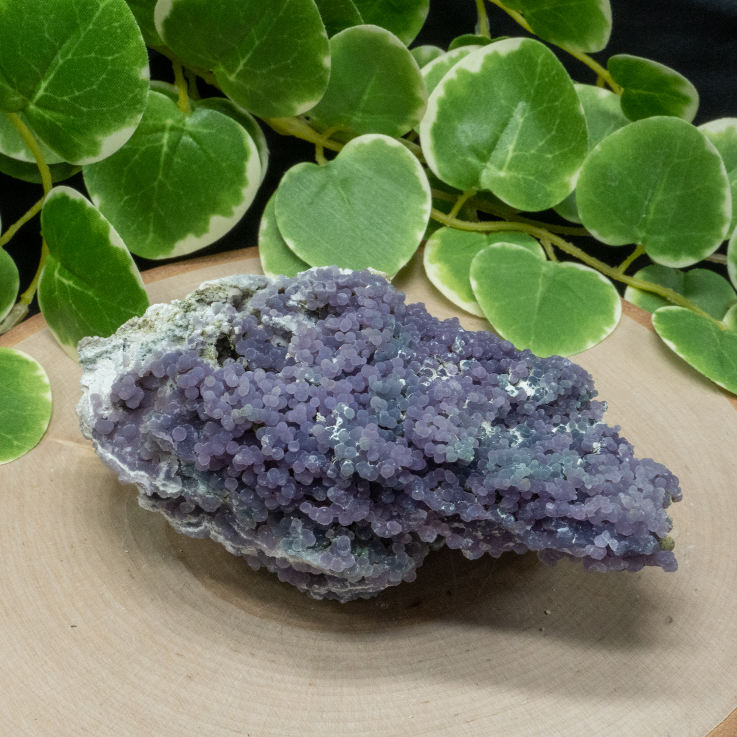 Grape Agate XL #4 - The Crystal Council