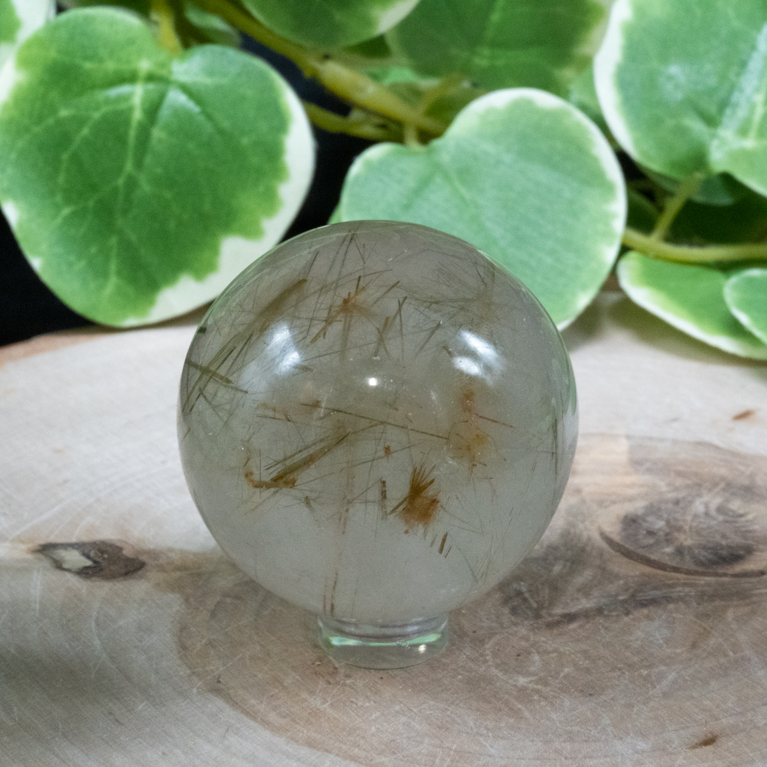 Rutile in Quartz Sphere #3 - The Crystal Council