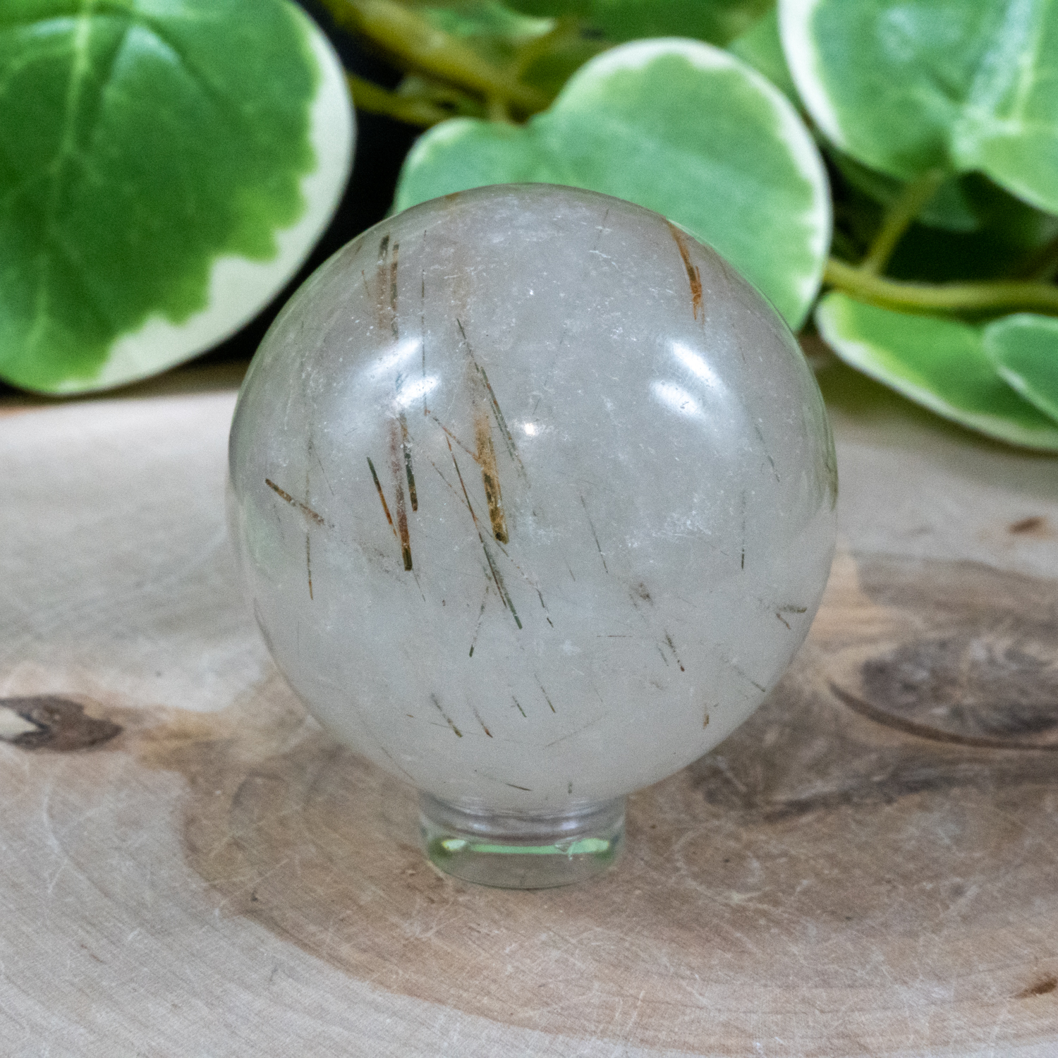 Rutile in Quartz Sphere #2 - The Crystal Council
