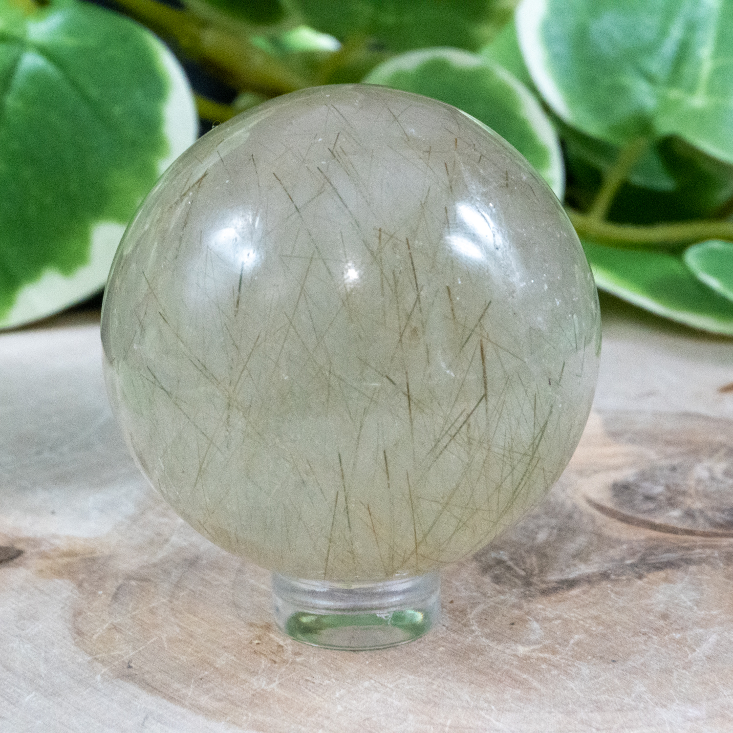 Rutile in Quartz Sphere #1 - The Crystal Council