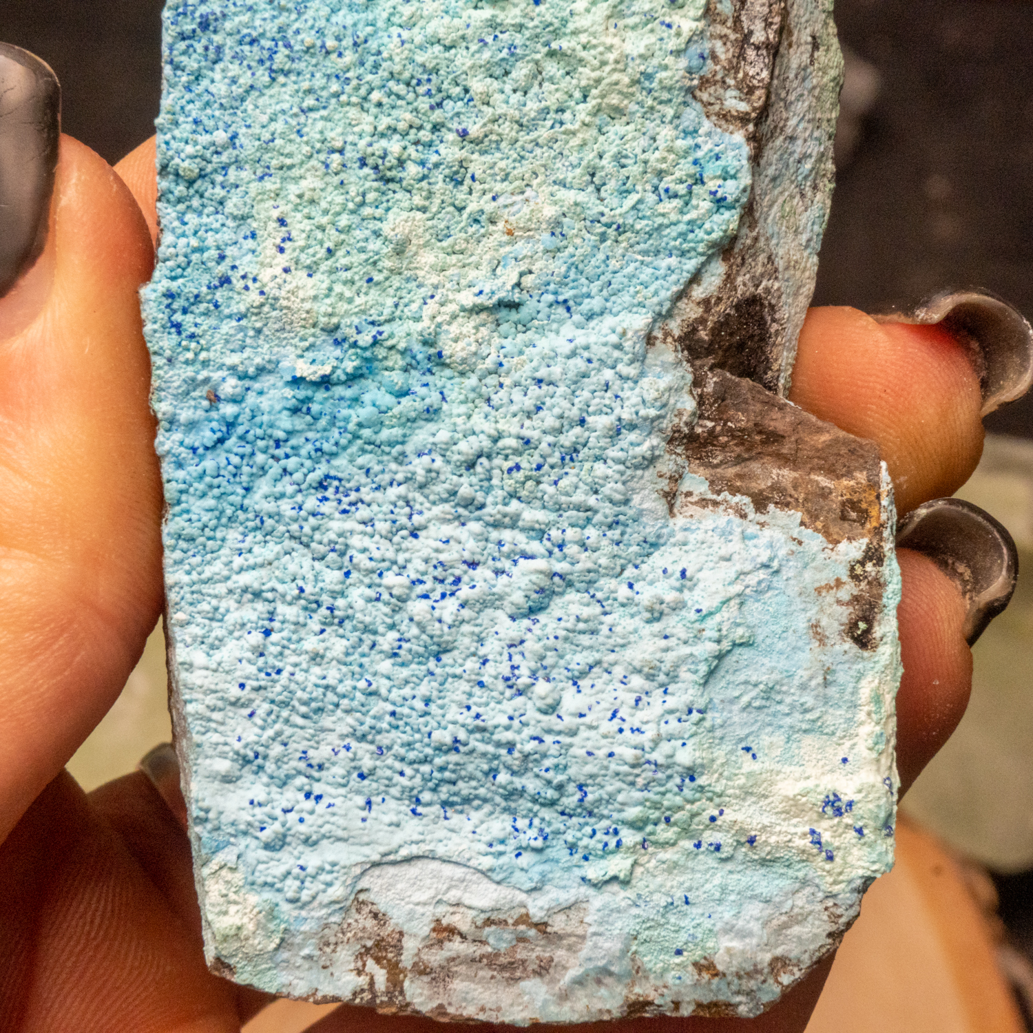 Azurite on Gibbsite #6 - The Crystal Council