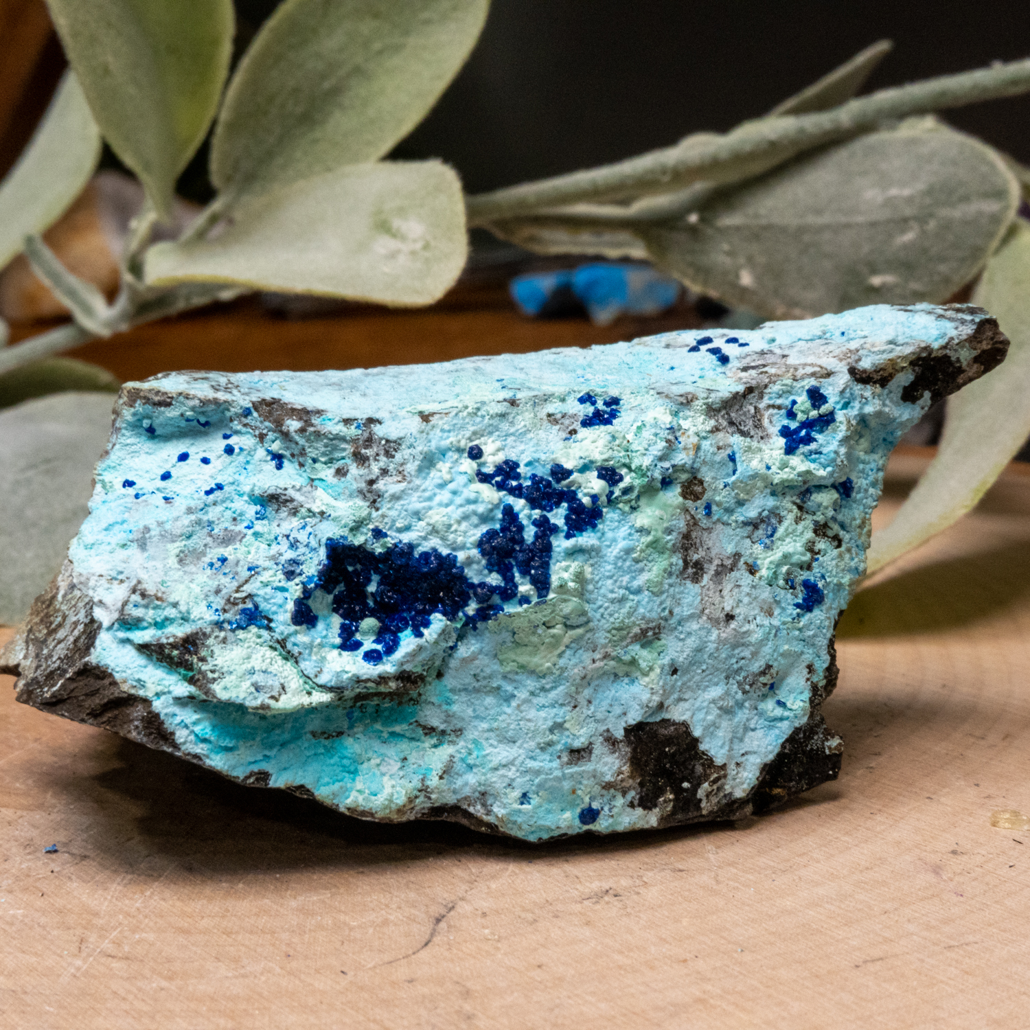 Azurite on Gibbsite #3 - The Crystal Council