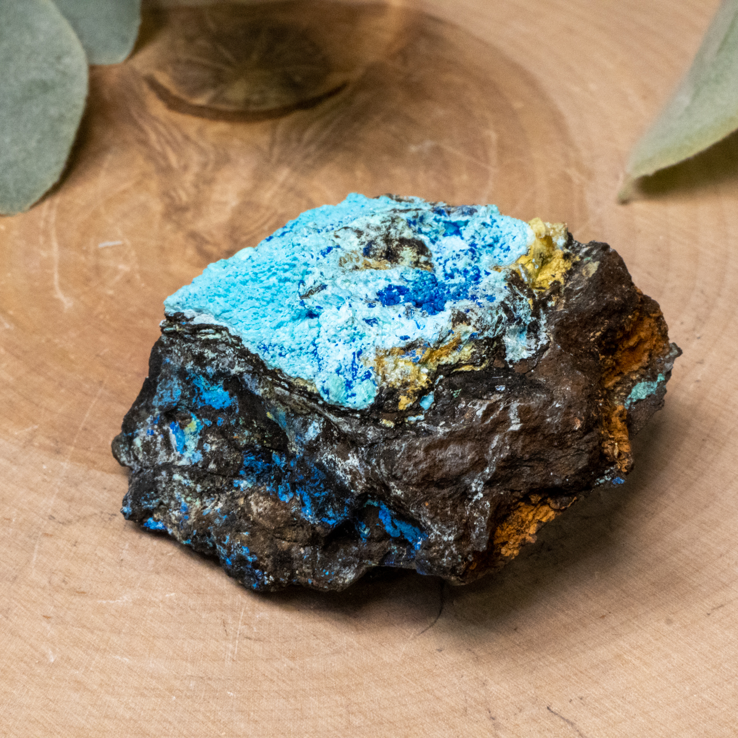 Azurite on Gibbsite #1 - The Crystal Council
