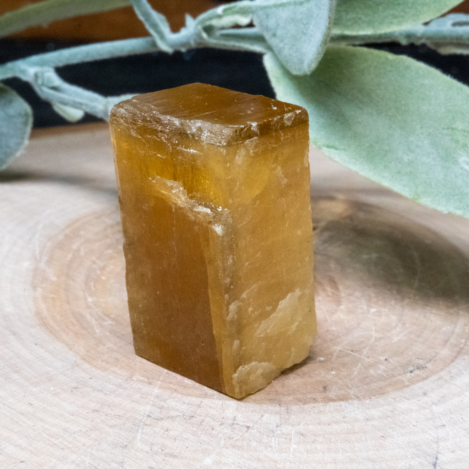 Orange Barite #8 - The Crystal Council