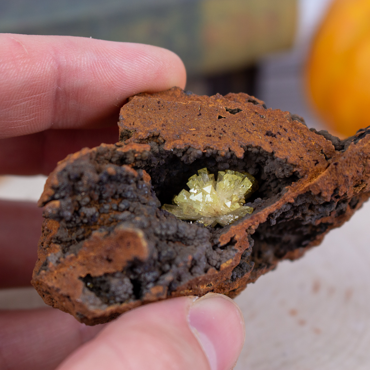 Raw Adamite #6 - The Crystal Council