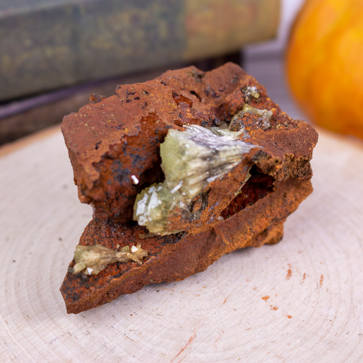 Raw Adamite #5 - The Crystal Council