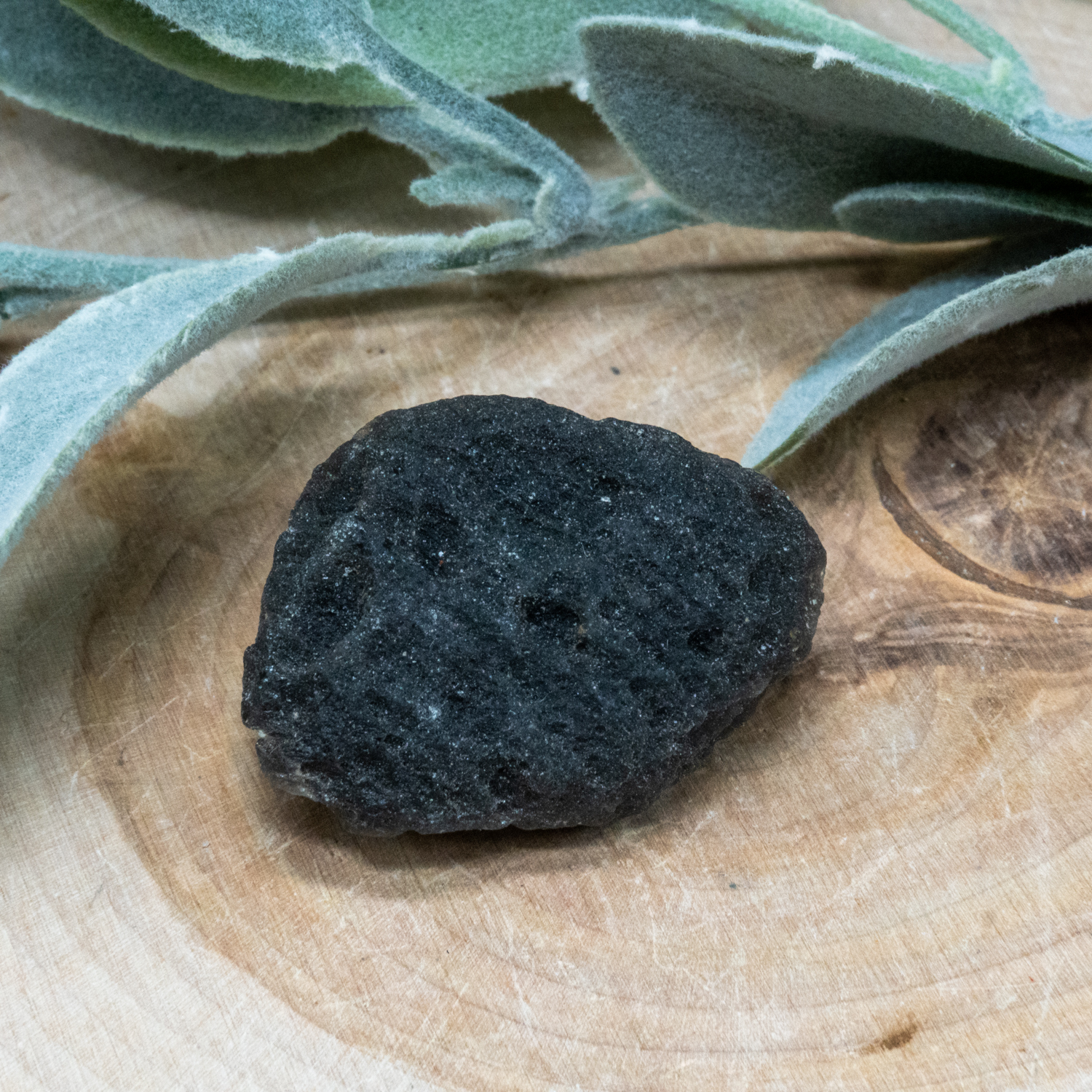 Agni Manitite #16 - The Crystal Council