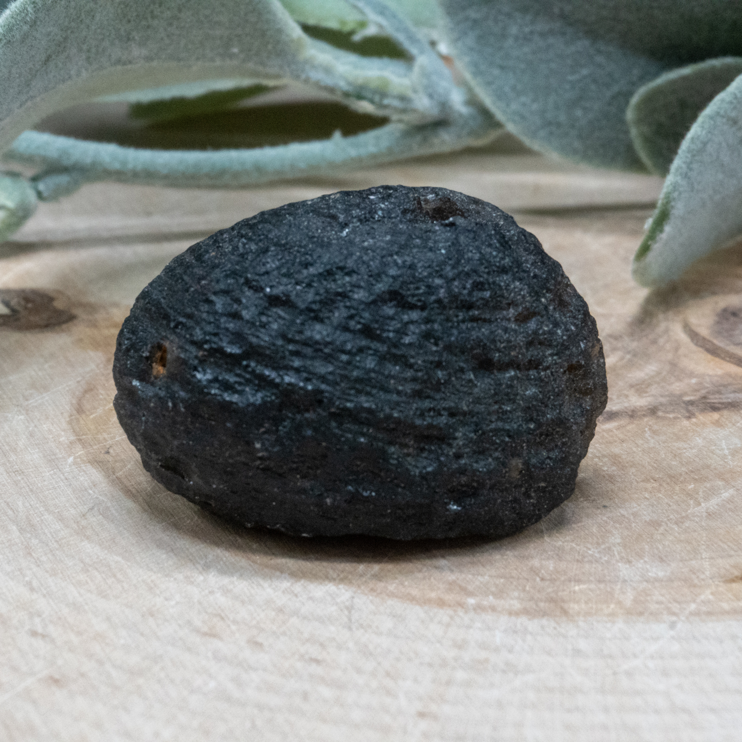 Agni Manitite #8 - The Crystal Council