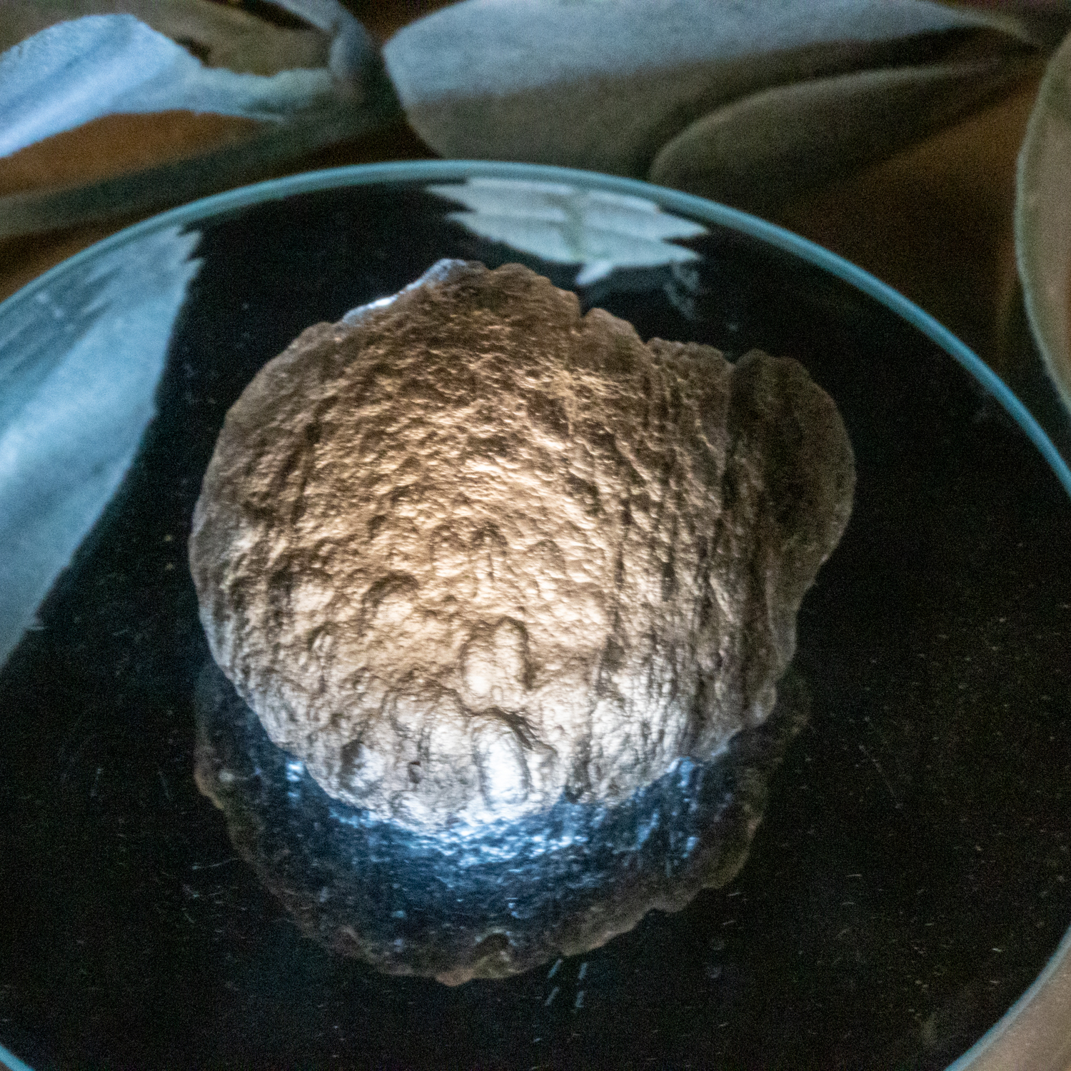 Agni Manitite #2 - The Crystal Council