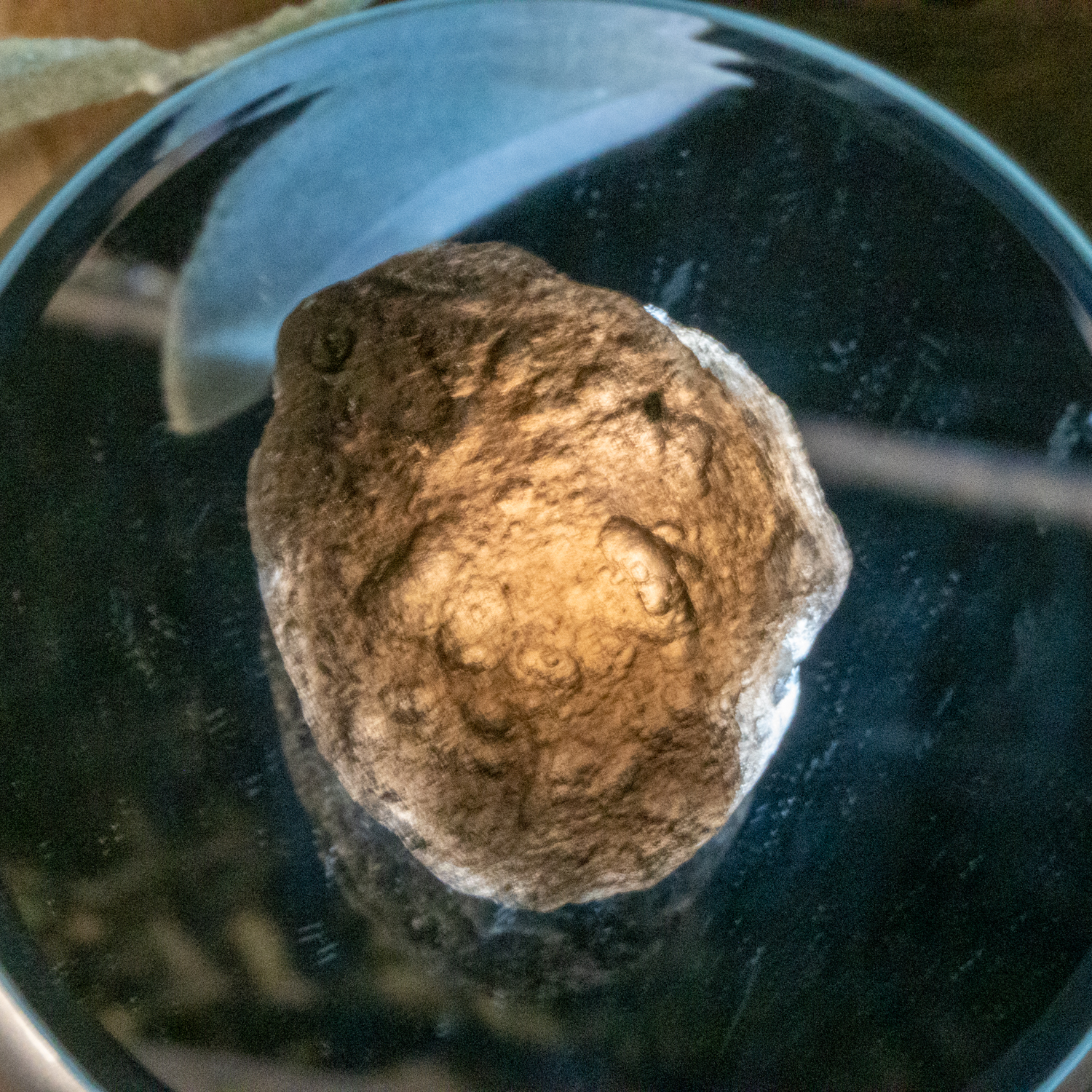 Agni Manitite #1 - The Crystal Council