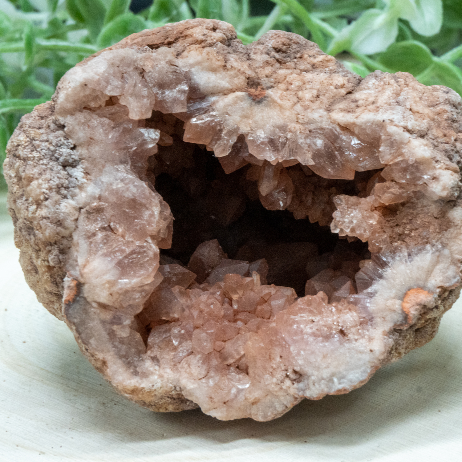 Pink Amethyst Large #13 - The Crystal Council