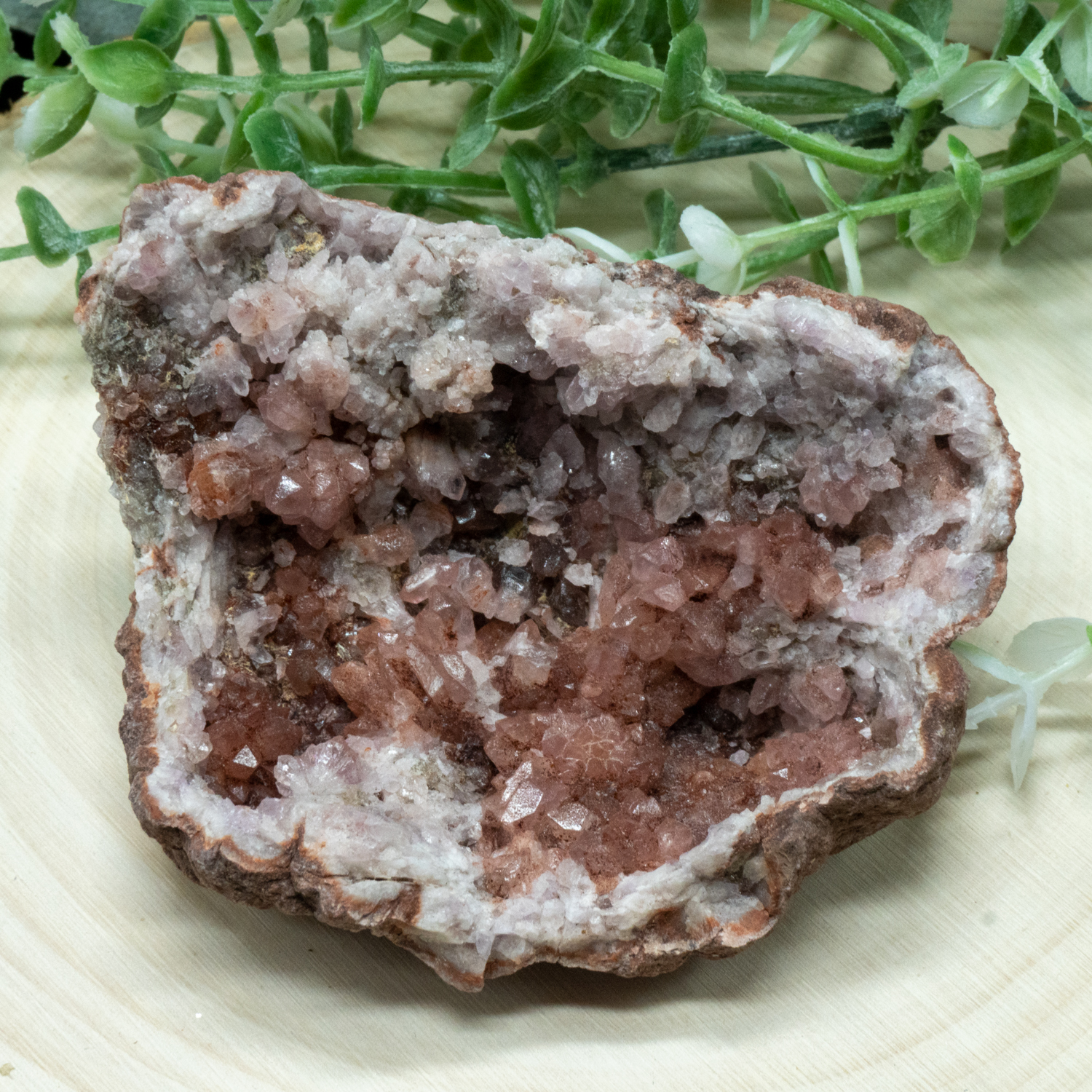 Pink Amethyst Large #7 - The Crystal Council