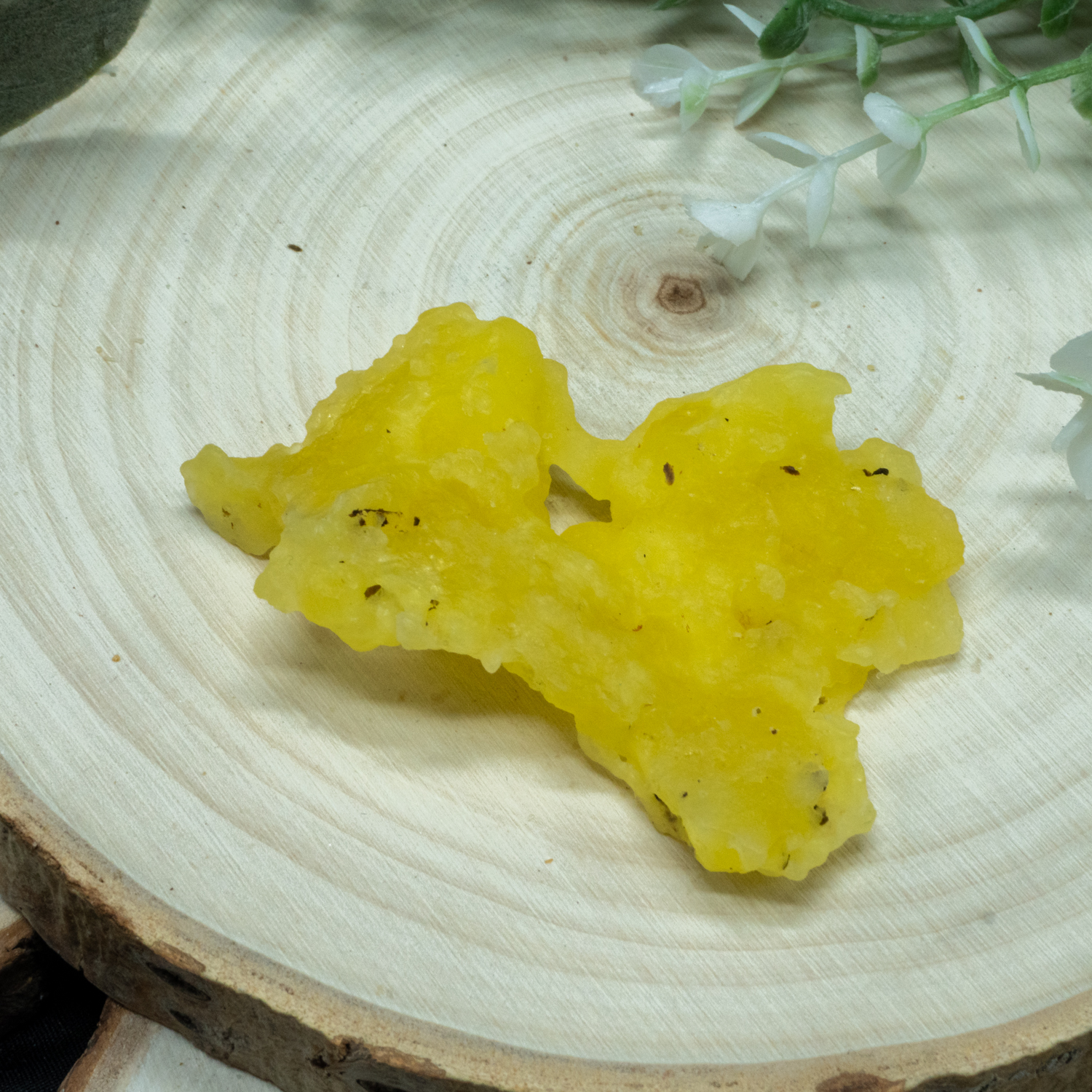 Brucite #15 - The Crystal Council