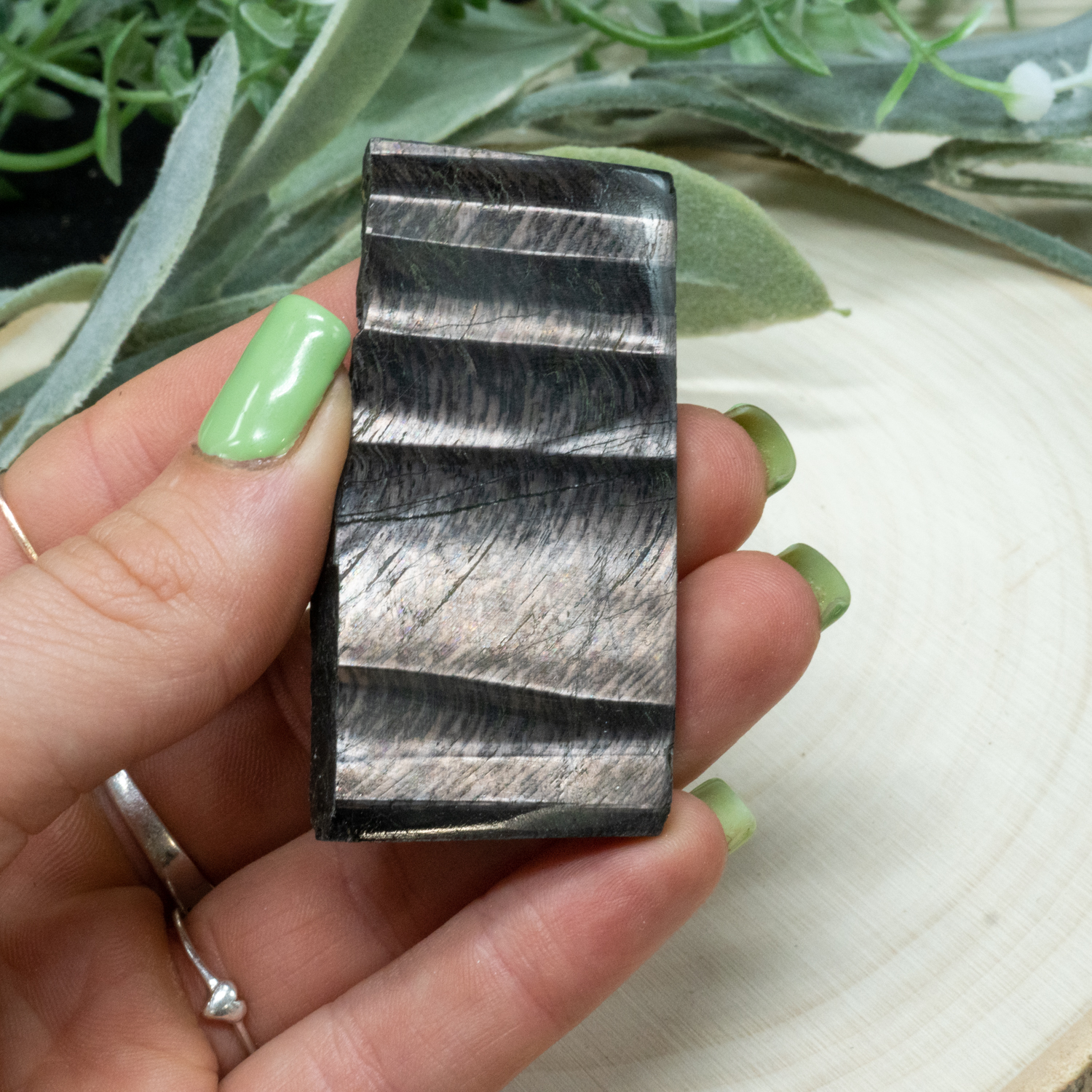 Hypersthene Slab #12 - The Crystal Council