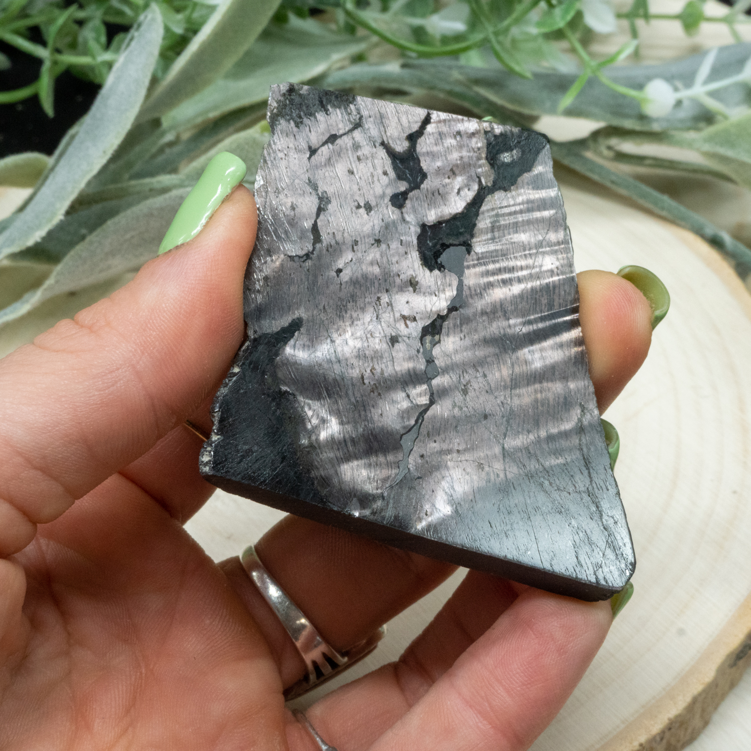 Hypersthene Slab #11 - The Crystal Council