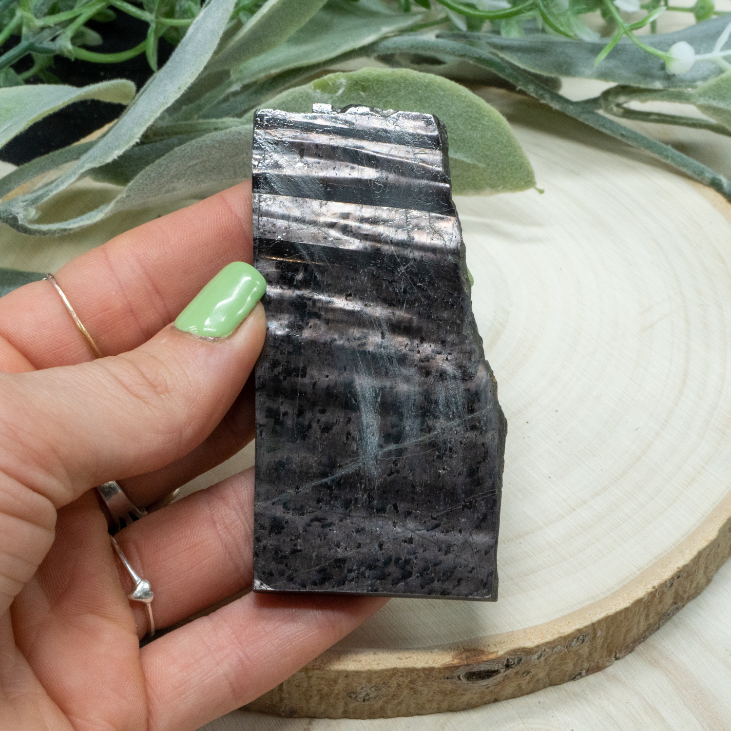 Hypersthene Slab #4 - The Crystal Council