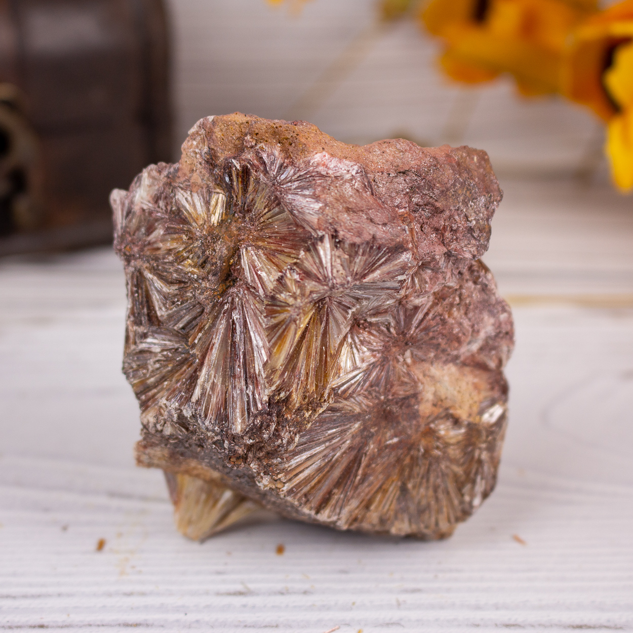 Pyrophyllite #4 - The Crystal Council