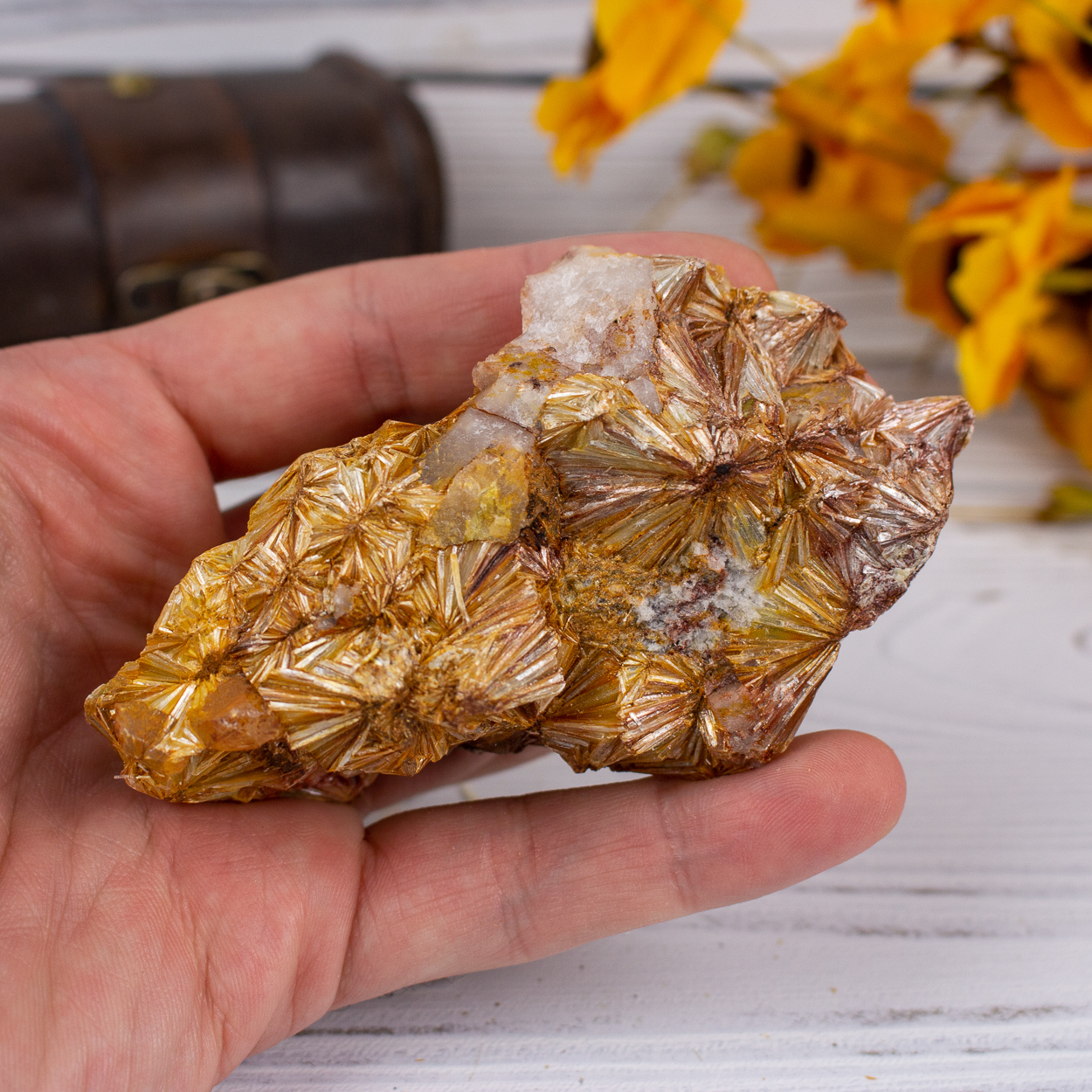 Pyrophyllite #2 - The Crystal Council